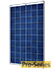 SolarWorld Solar Panels - Wholesale Price