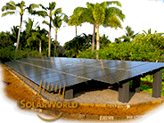 SolarWorld Solar Panels - Wholesale Price