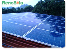 ReneSola Virtus II JC255M-24/Bb Solar Panel