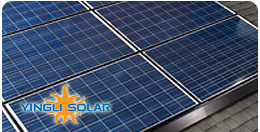 Yingli Solar YL250P-29b Solar Panel Wholesale Discount